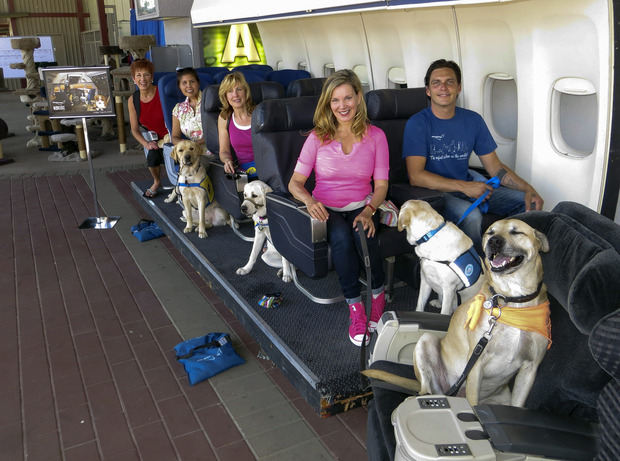 A Hollywood studio where dogs learn to fly