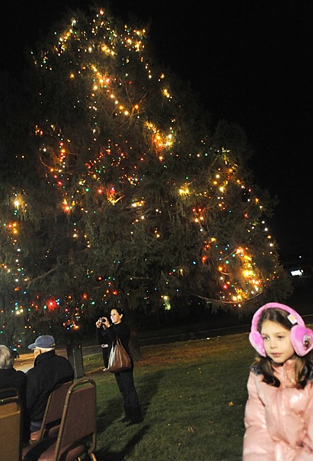 American Legion lights season's first tree