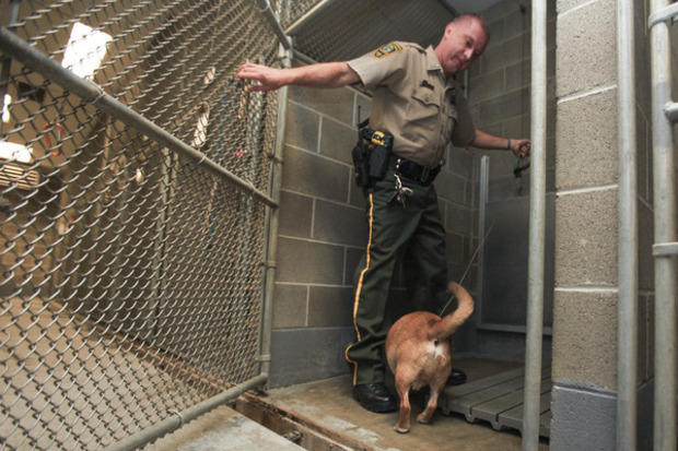 Norwalk Animal Control Facility earns donation for major improvements