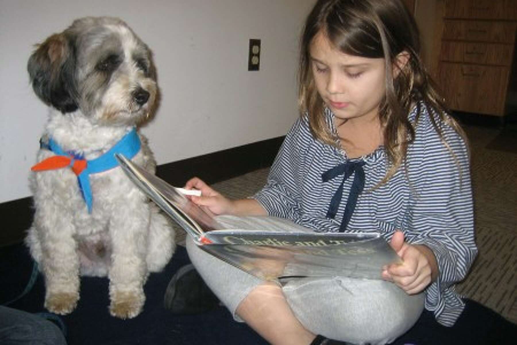 Are Dogs Allowed In Public Libraries