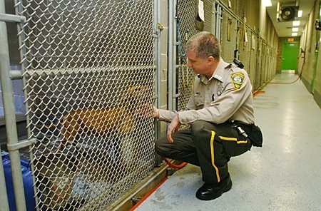 Abandoned dogs find homes through Animal Control