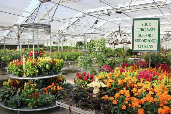 In a new book, Brookwood Community founder tells story of work helping ...