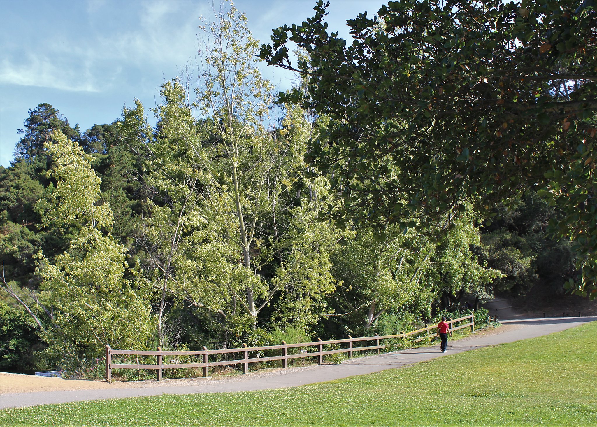 Lake Temescal offers 2 sides of outdoor fun