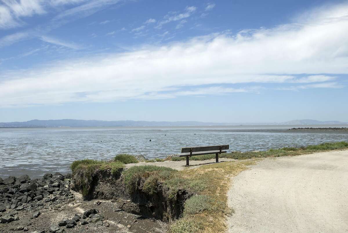 Connect with nature, play at Hayward parks