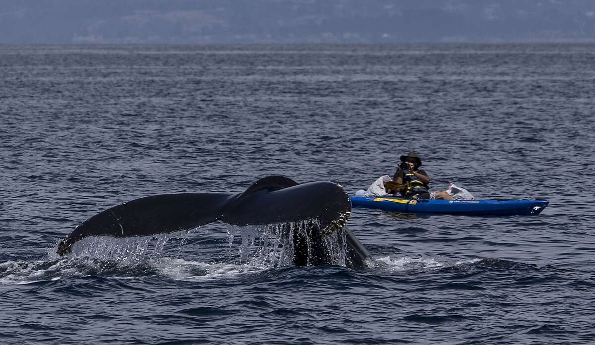 On a canoe or kayak, path to paradise is paddle-powered