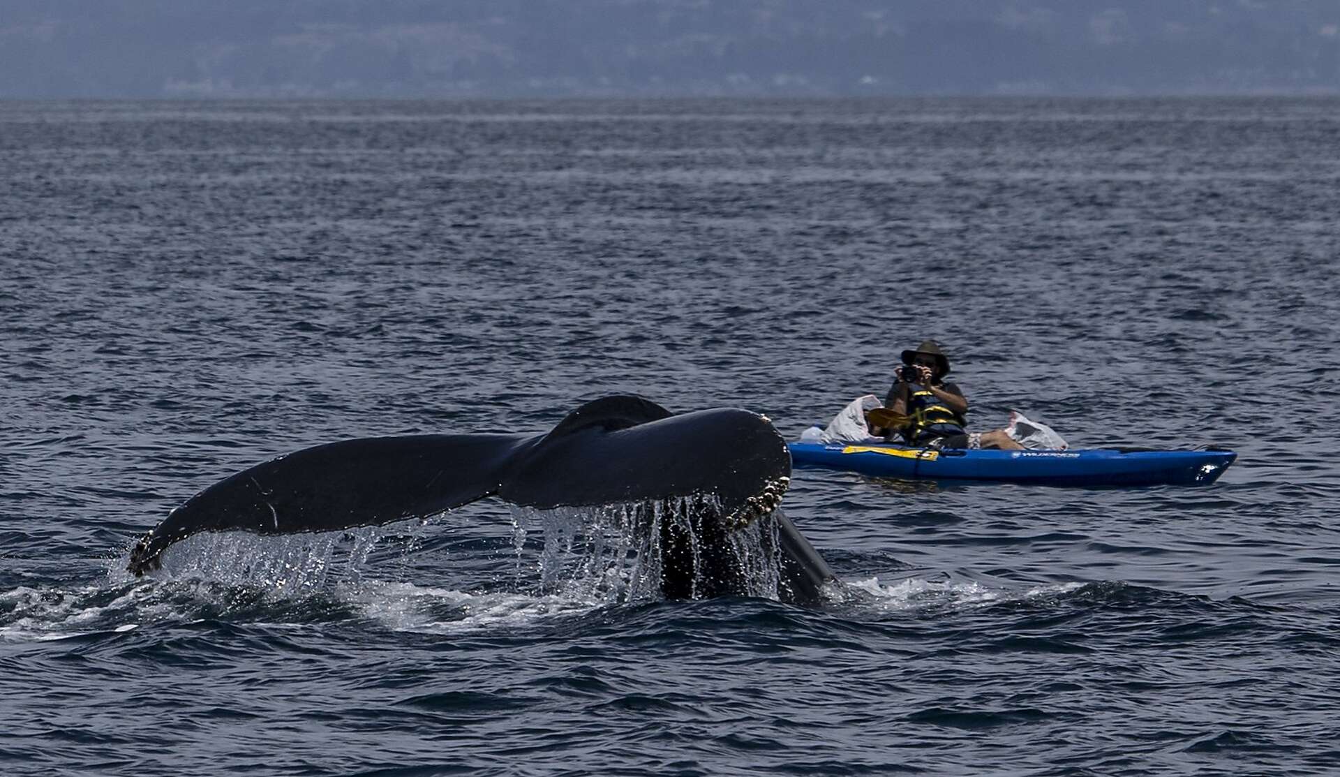 On a canoe or kayak, path to paradise is paddle-powered