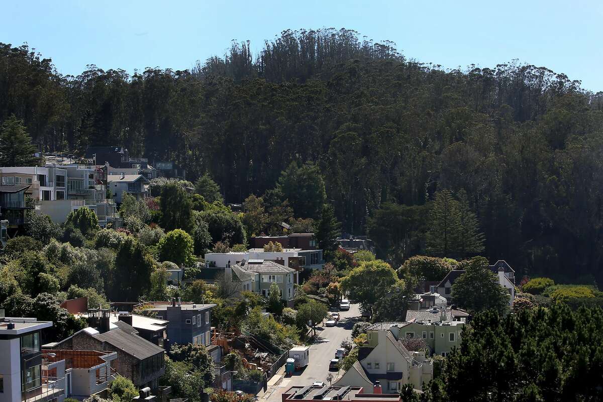 New battle over managing Sutro Forest trees