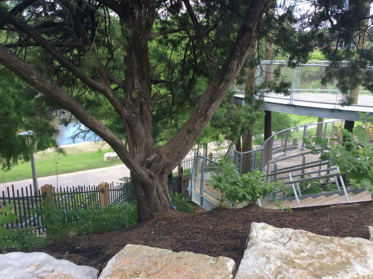 It's playtime on the bayou trail