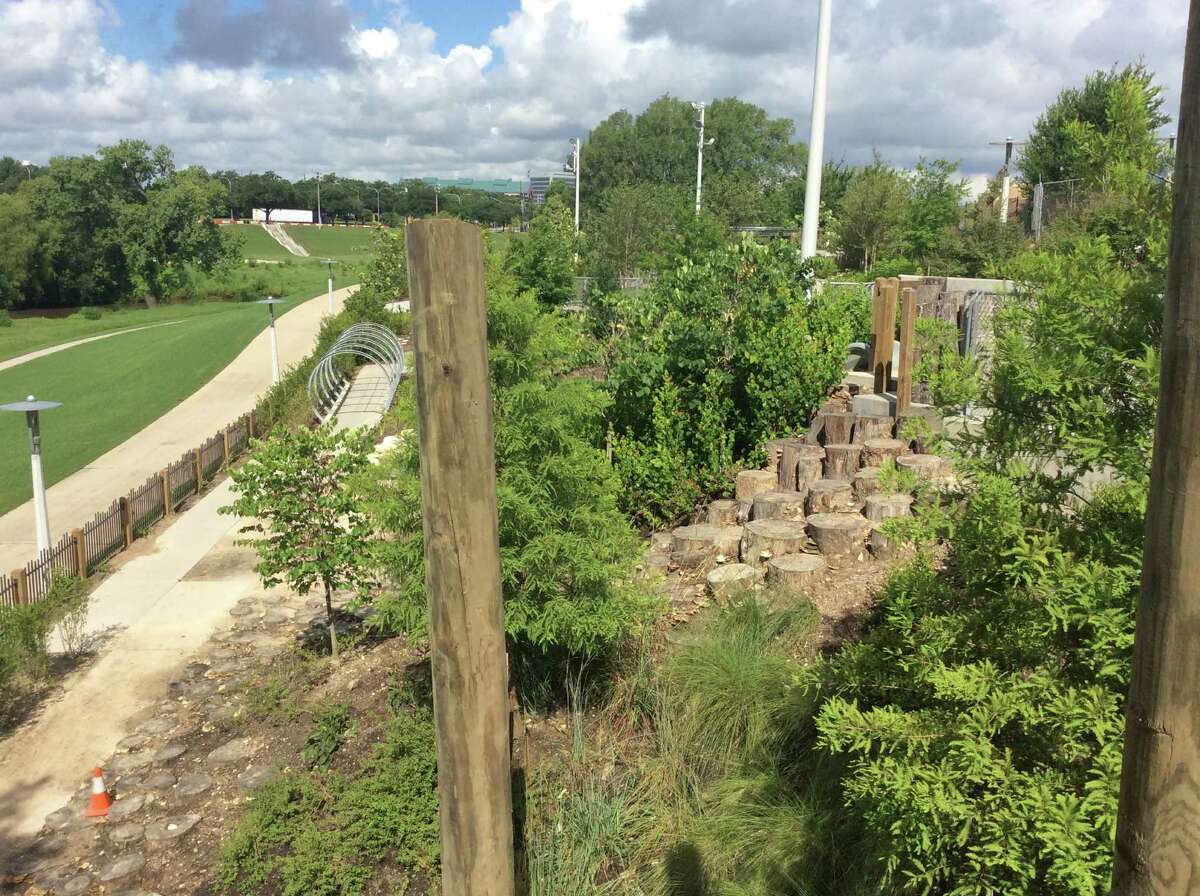 It's playtime on the bayou trail