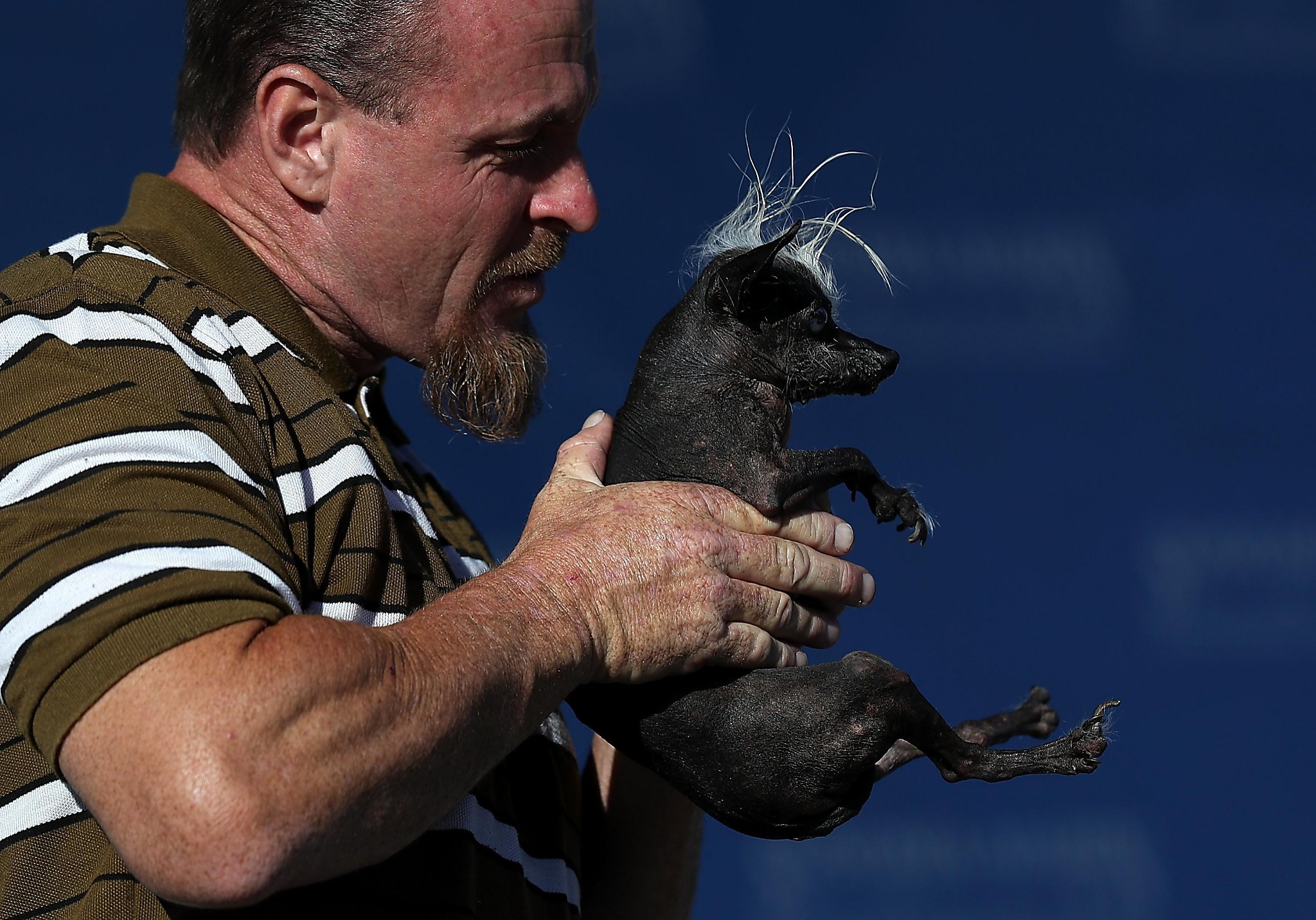 Gremlin-like pooch is World’s Ugliest Dog
