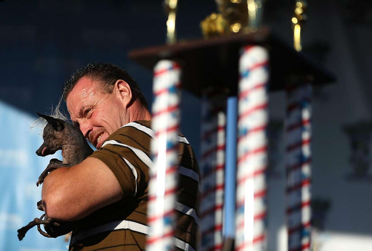 Blind dog with oozing sore wins World's Ugliest Dog contest