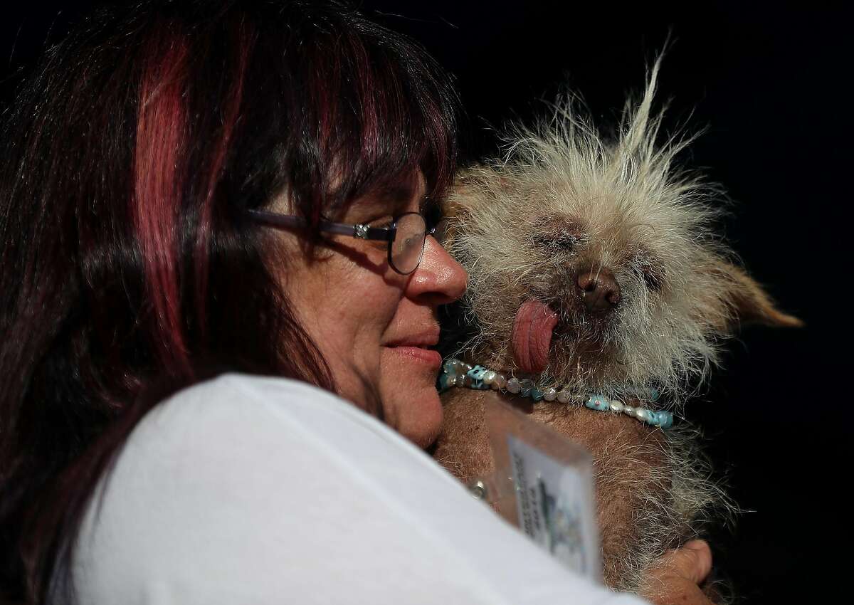 Meet the adorably ugly pups of the World’s Ugliest Dog competition