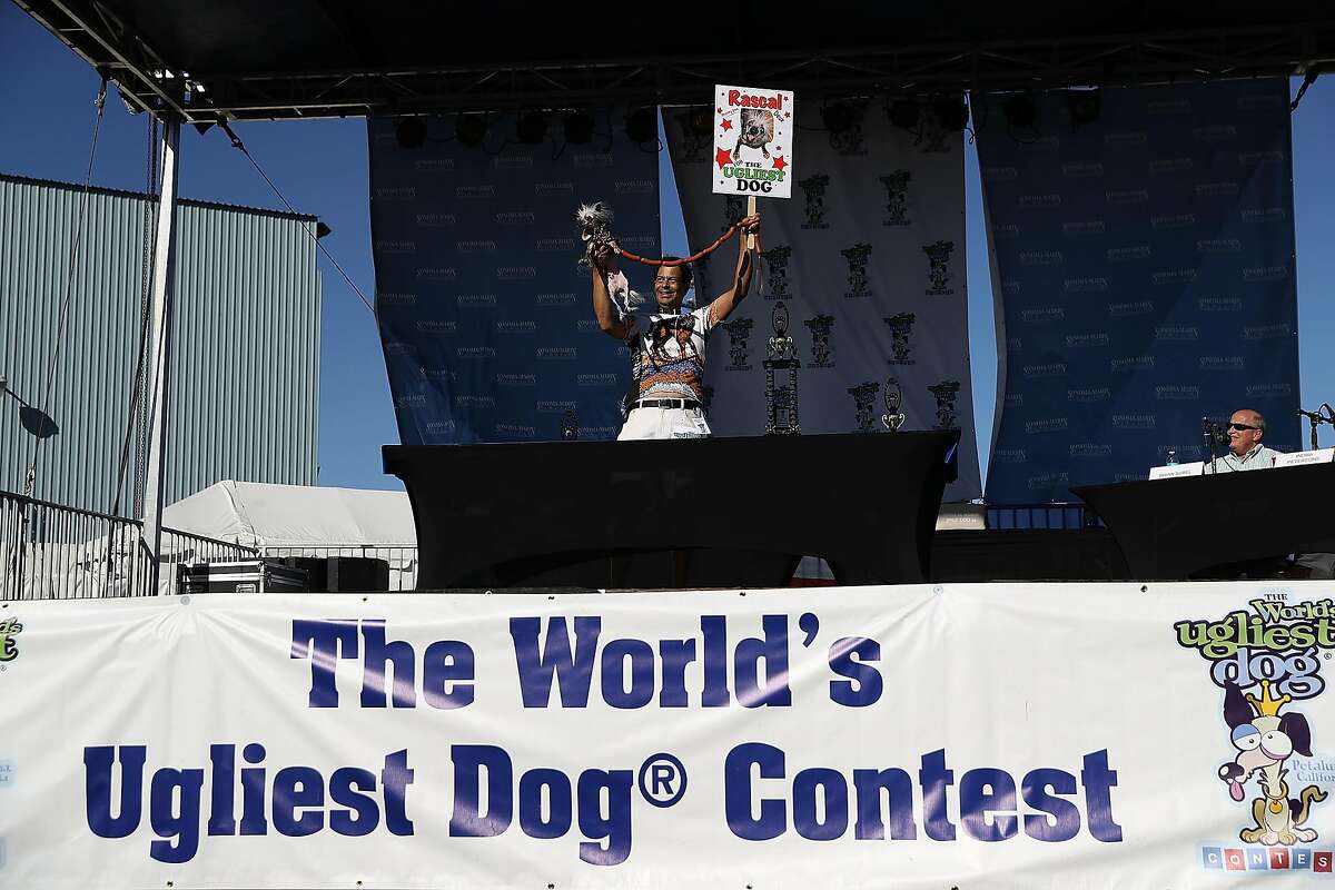 Meet the adorably ugly pups of the World’s Ugliest Dog competition