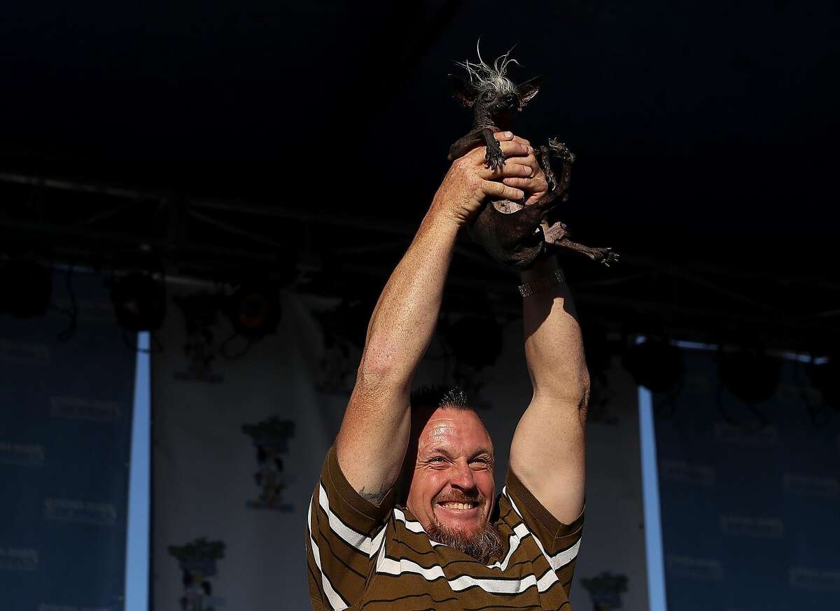 Meet the adorably ugly pups of the World’s Ugliest Dog competition