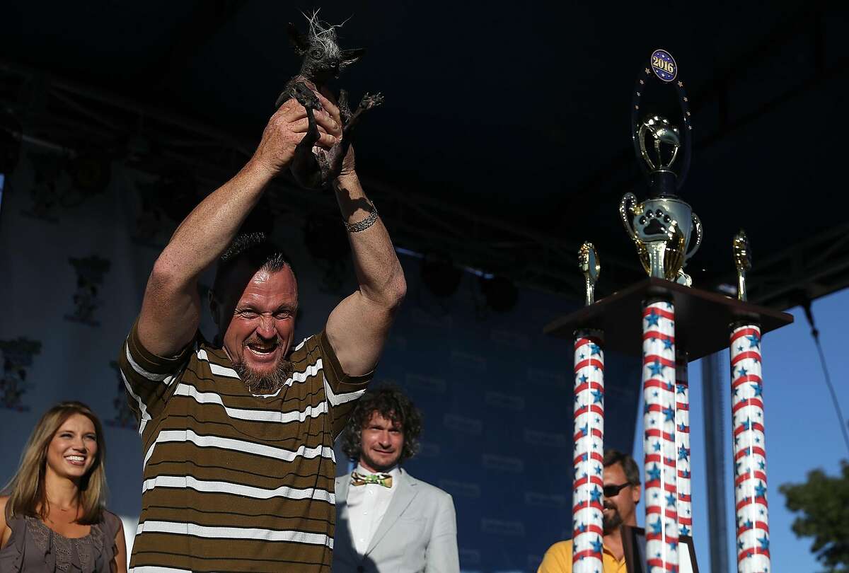 Blind dog with oozing sore wins World's Ugliest Dog contest