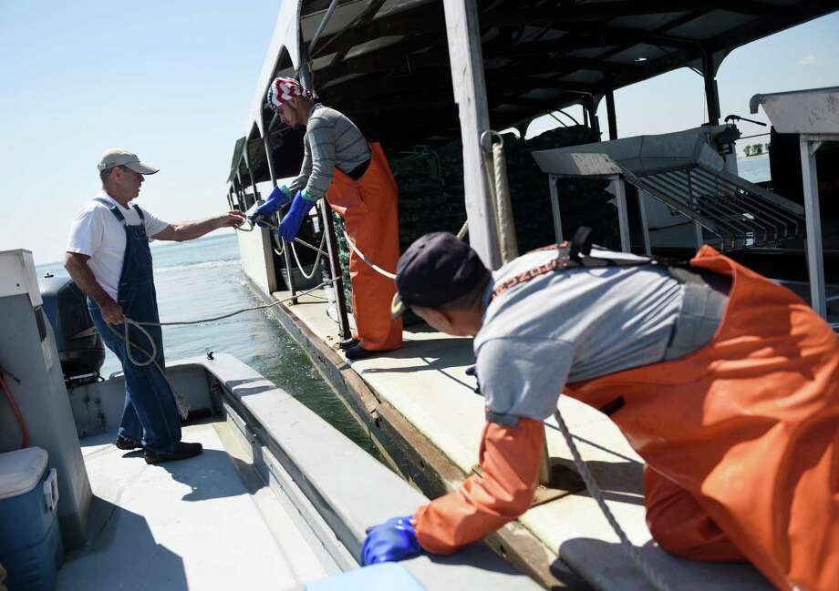 What are clams’ economic impact on Greenwich? - GreenwichTime