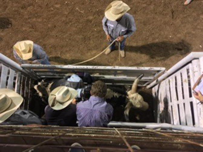 Modern rodeo performers more athlete than cowboy