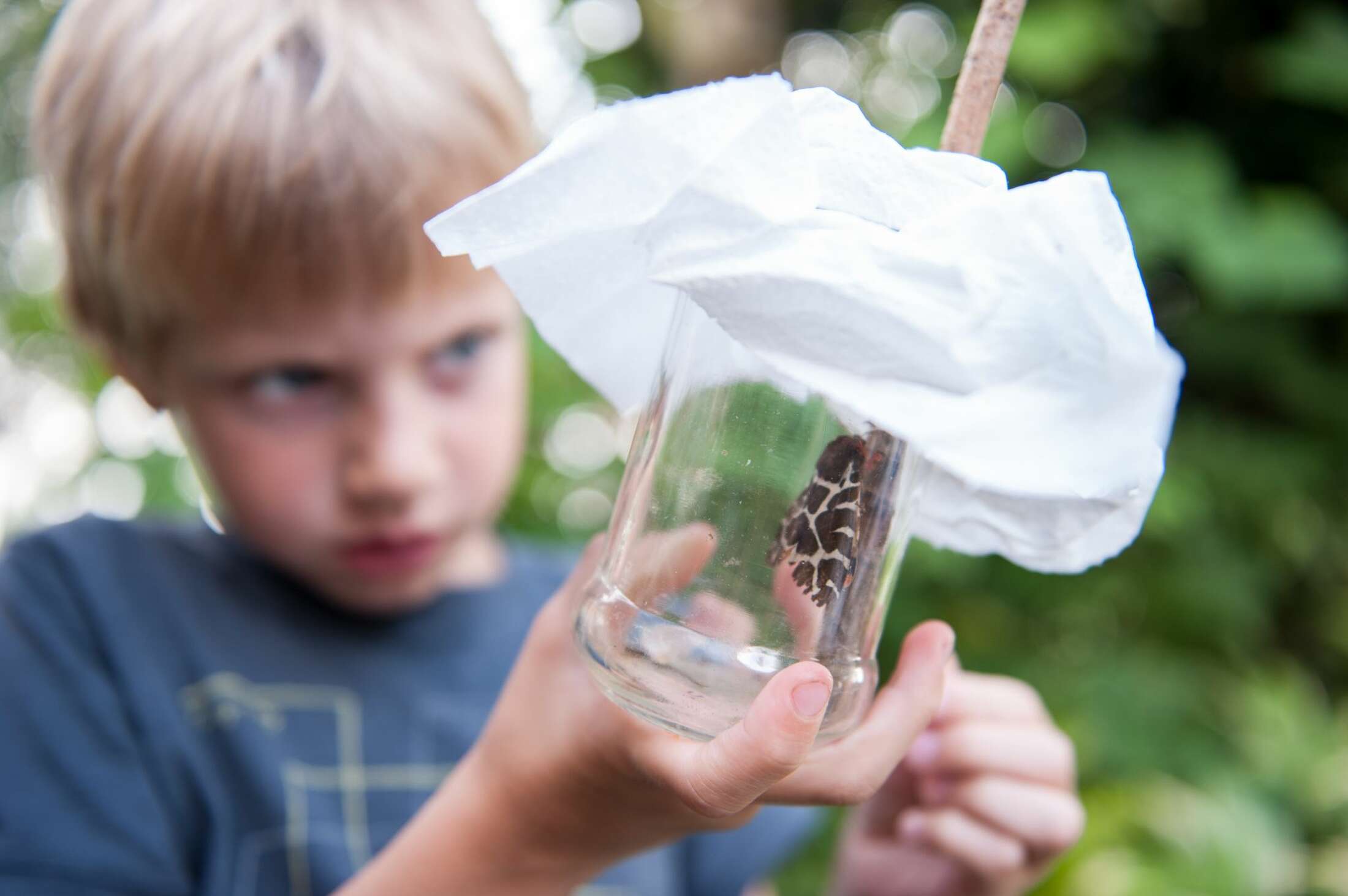 49 things your kids could be doing this summer besides sitting in front ...