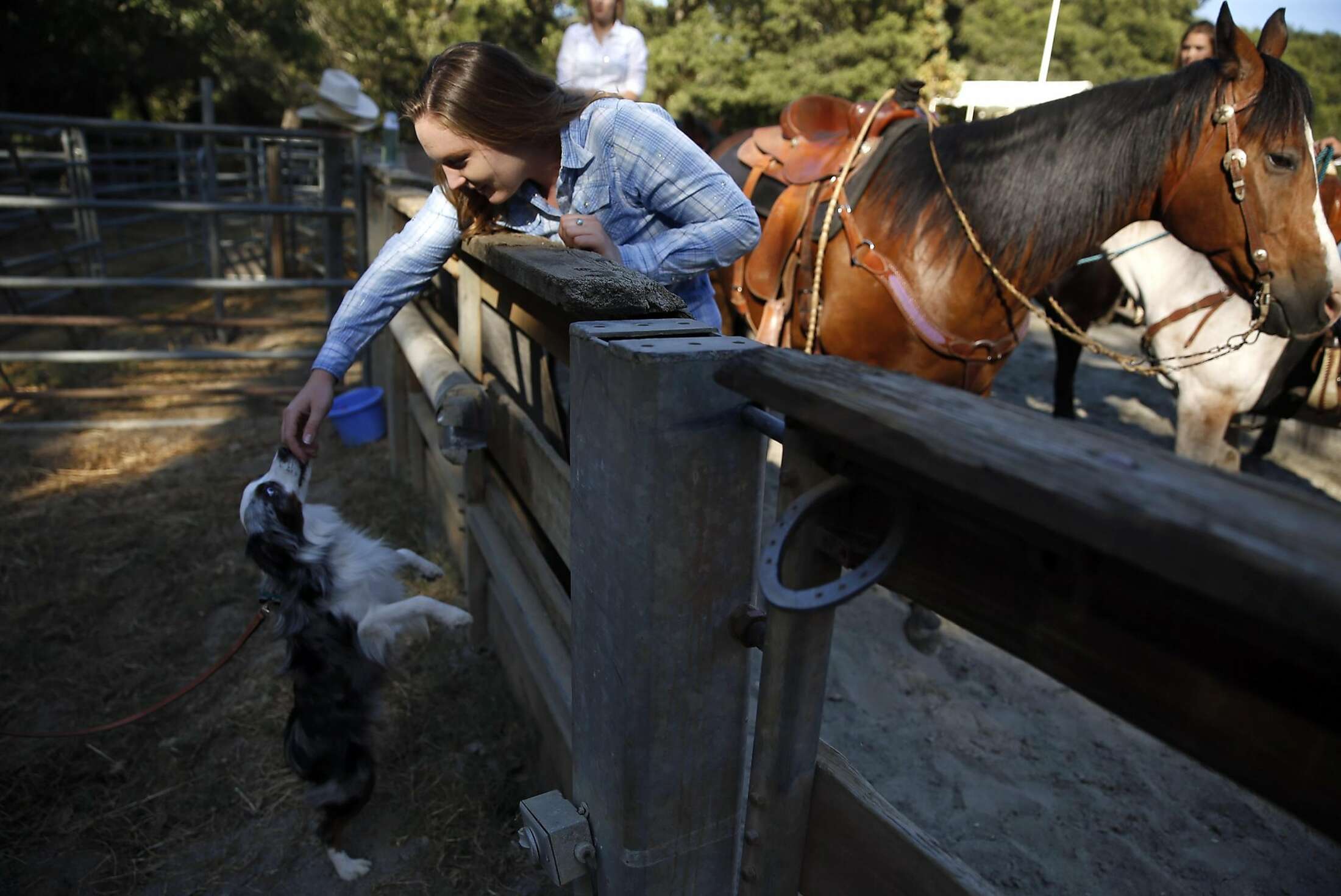 Annual old-time rodeo spurs excitement in Woodside