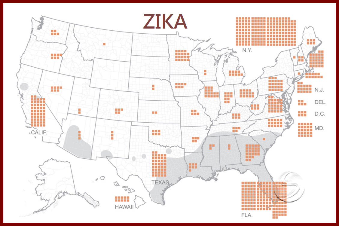 Zika in infographics: risks, areas affected, symptoms, disease, and ...