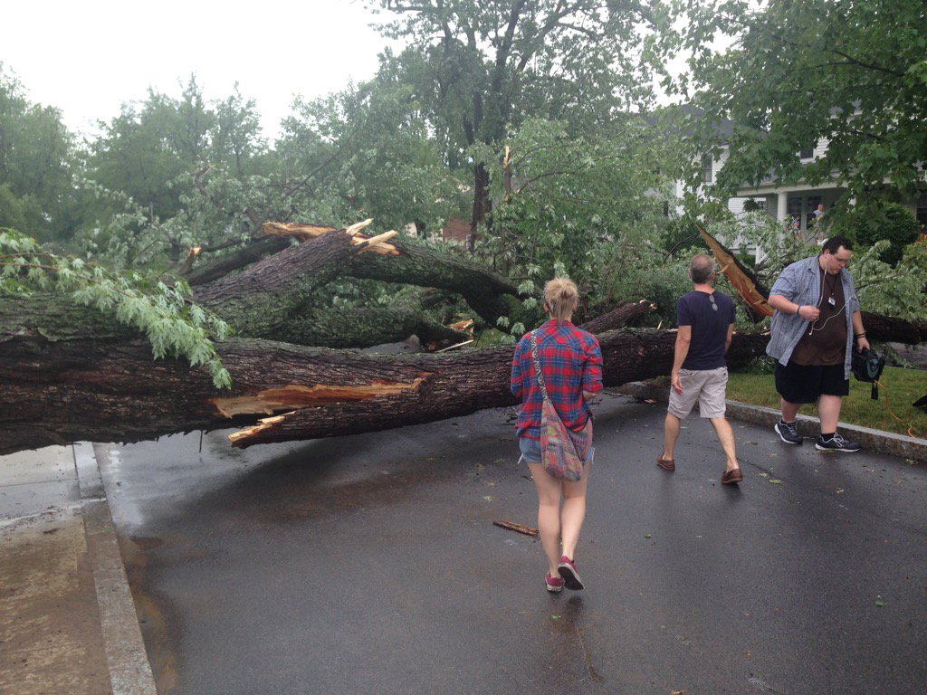 Storm topples Schenectady maple trees, downs power lines
