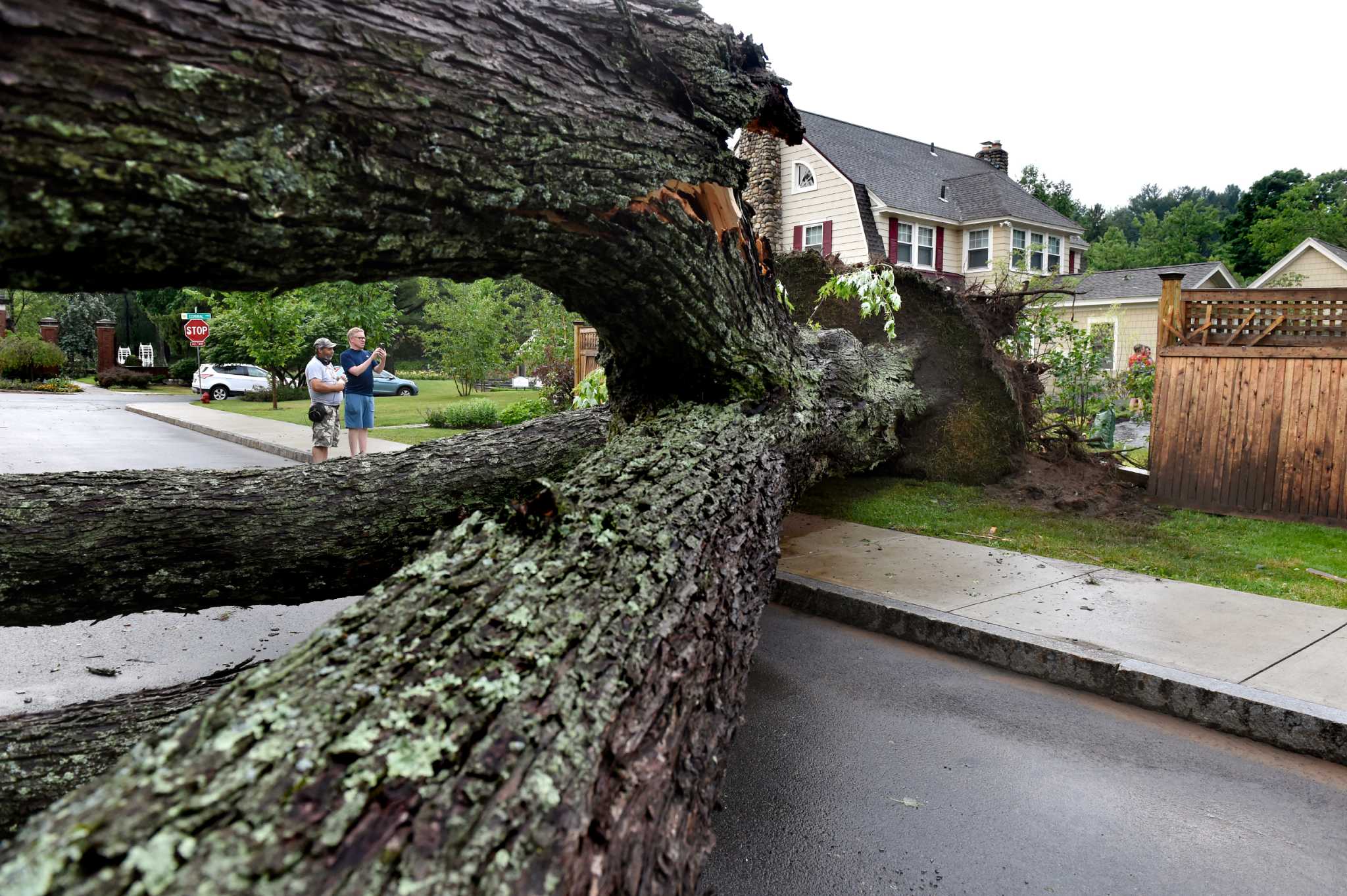 Storm topples Schenectady maple trees, downs power lines