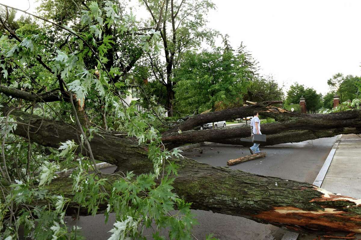 Storm topples Schenectady maple trees, downs power lines