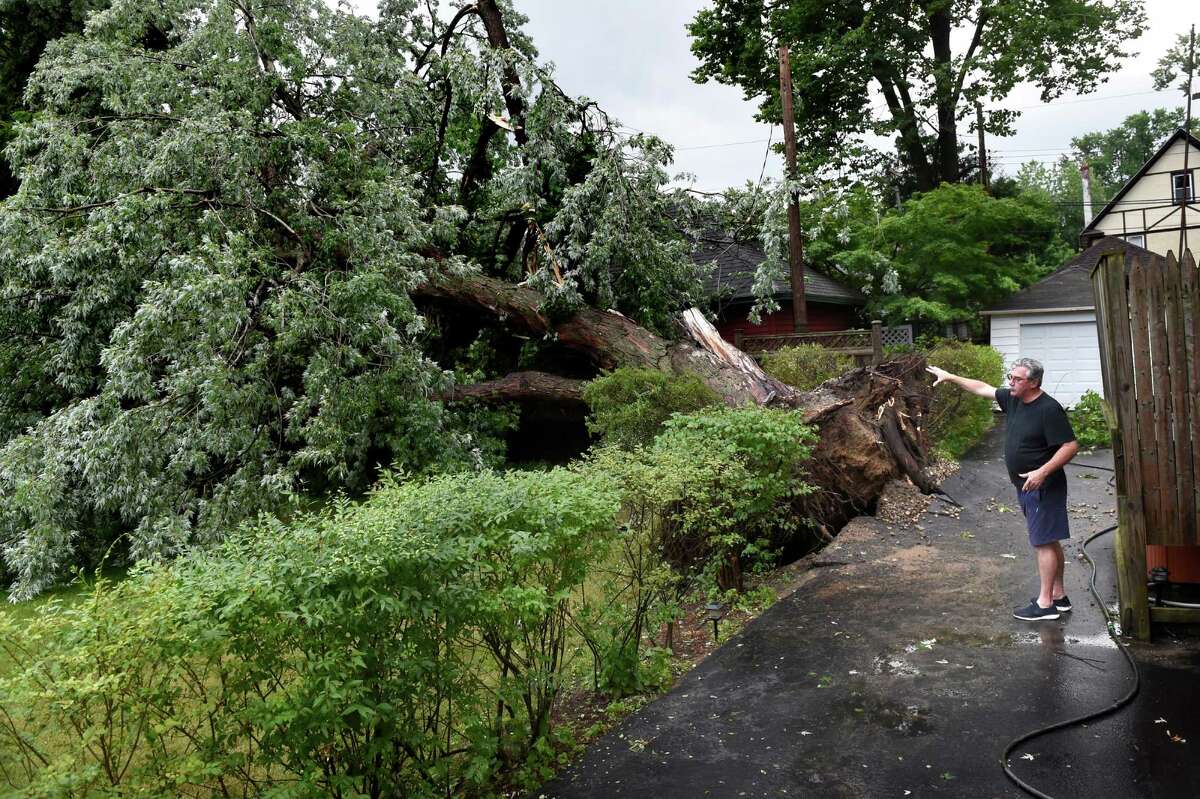 Storm topples Schenectady maple trees, downs power lines