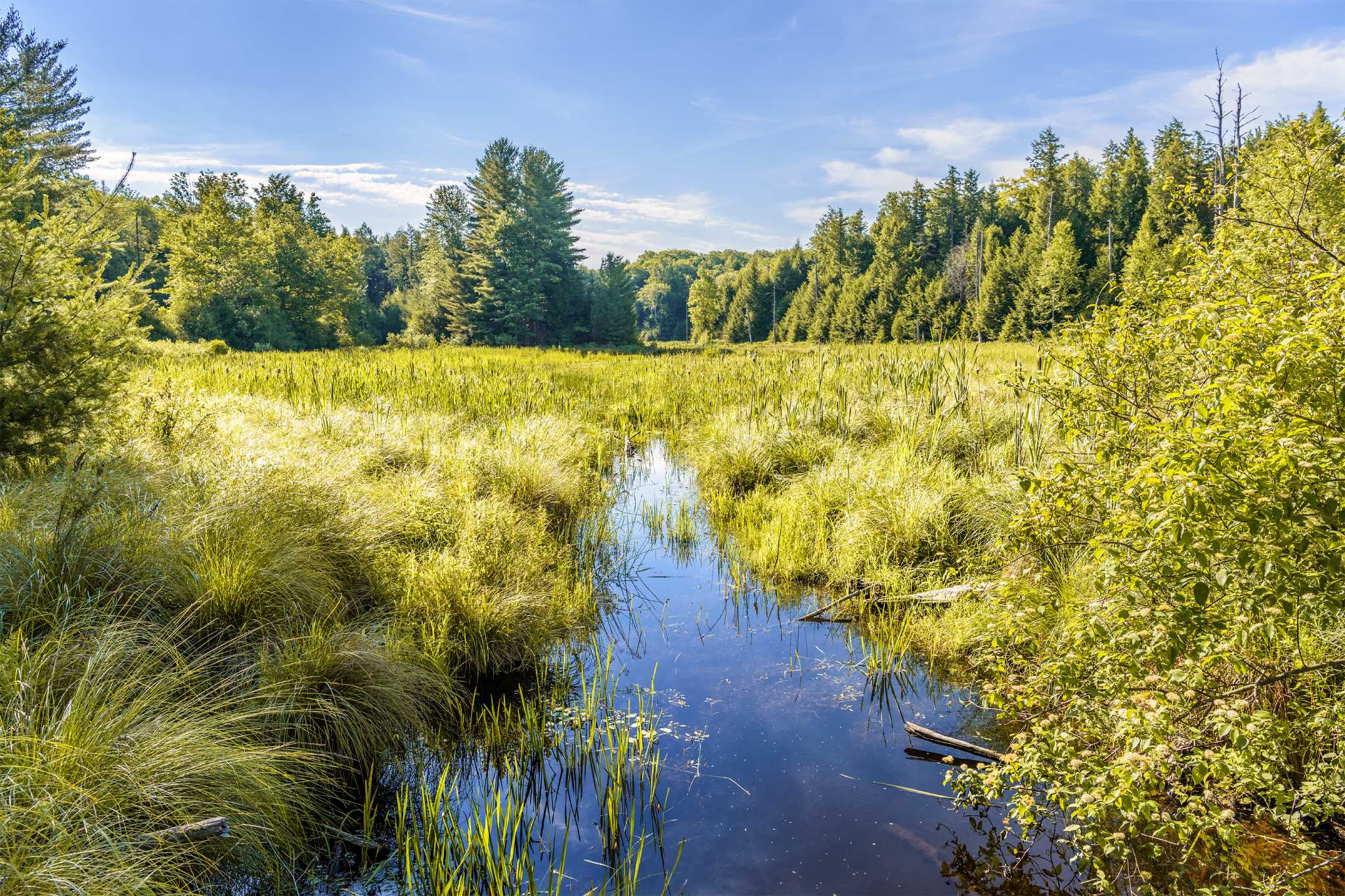 $1M land deal in Greenfield to help fill in rec trail