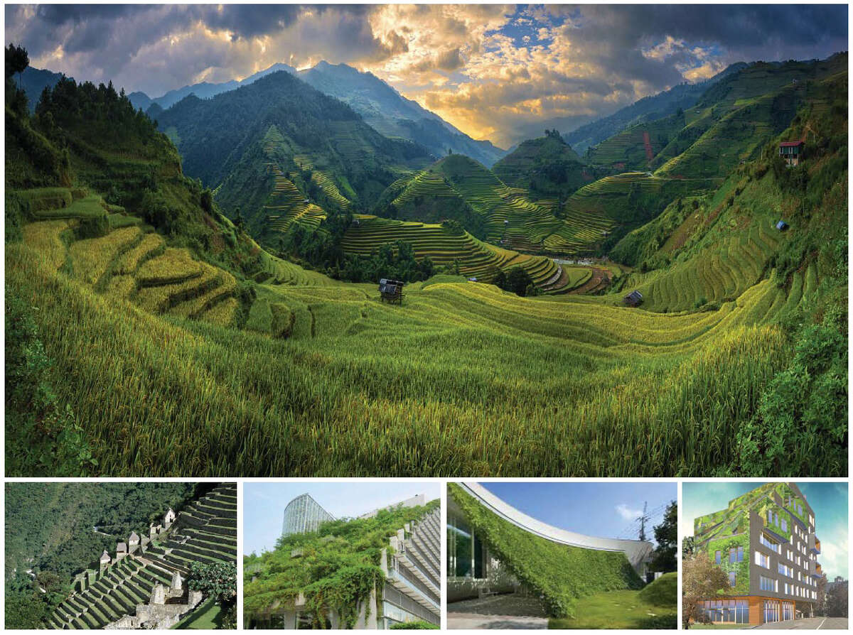 Terraced building design a standout among urban growth