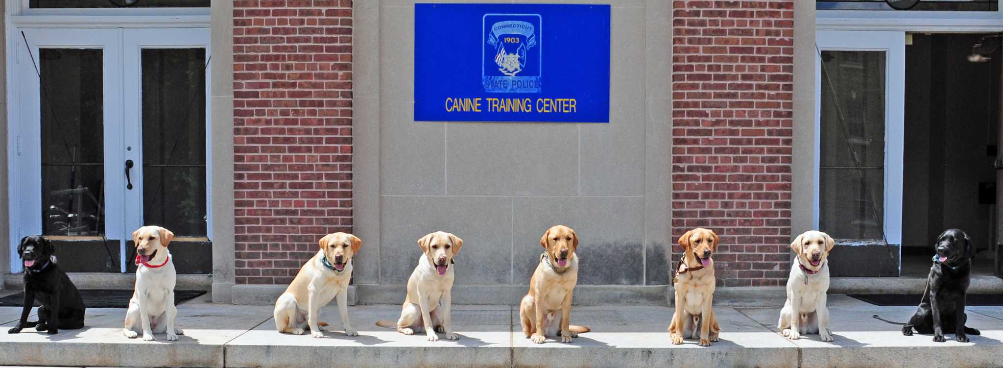 What do you name the newest narc dogs; check their tags