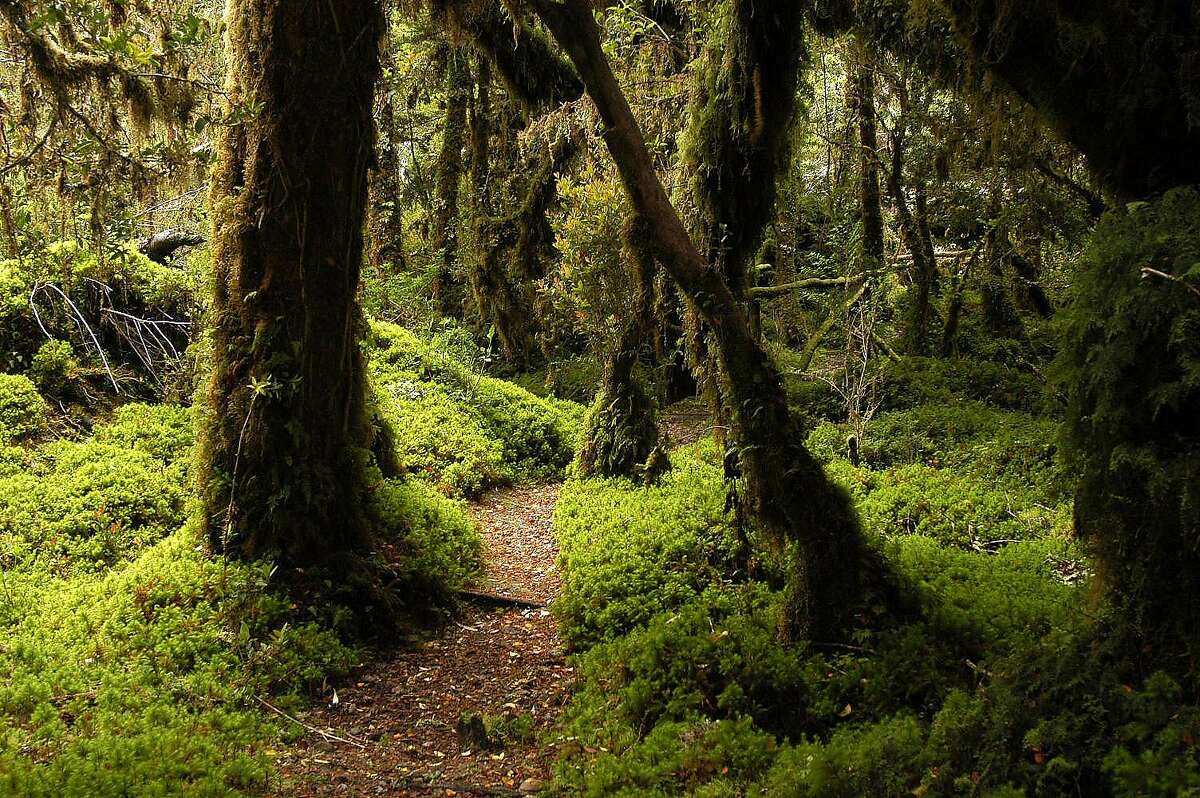 Pure nature in Chile's lesser-known Patagonia