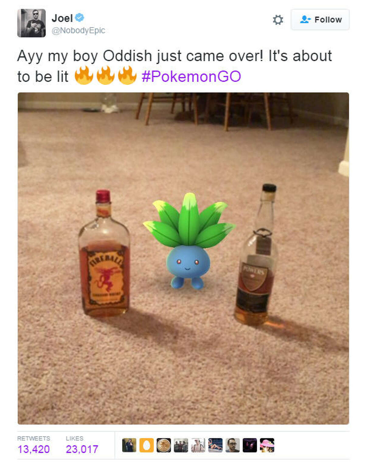 Pokémon Go memes sum up how your life has changed since the game was ...