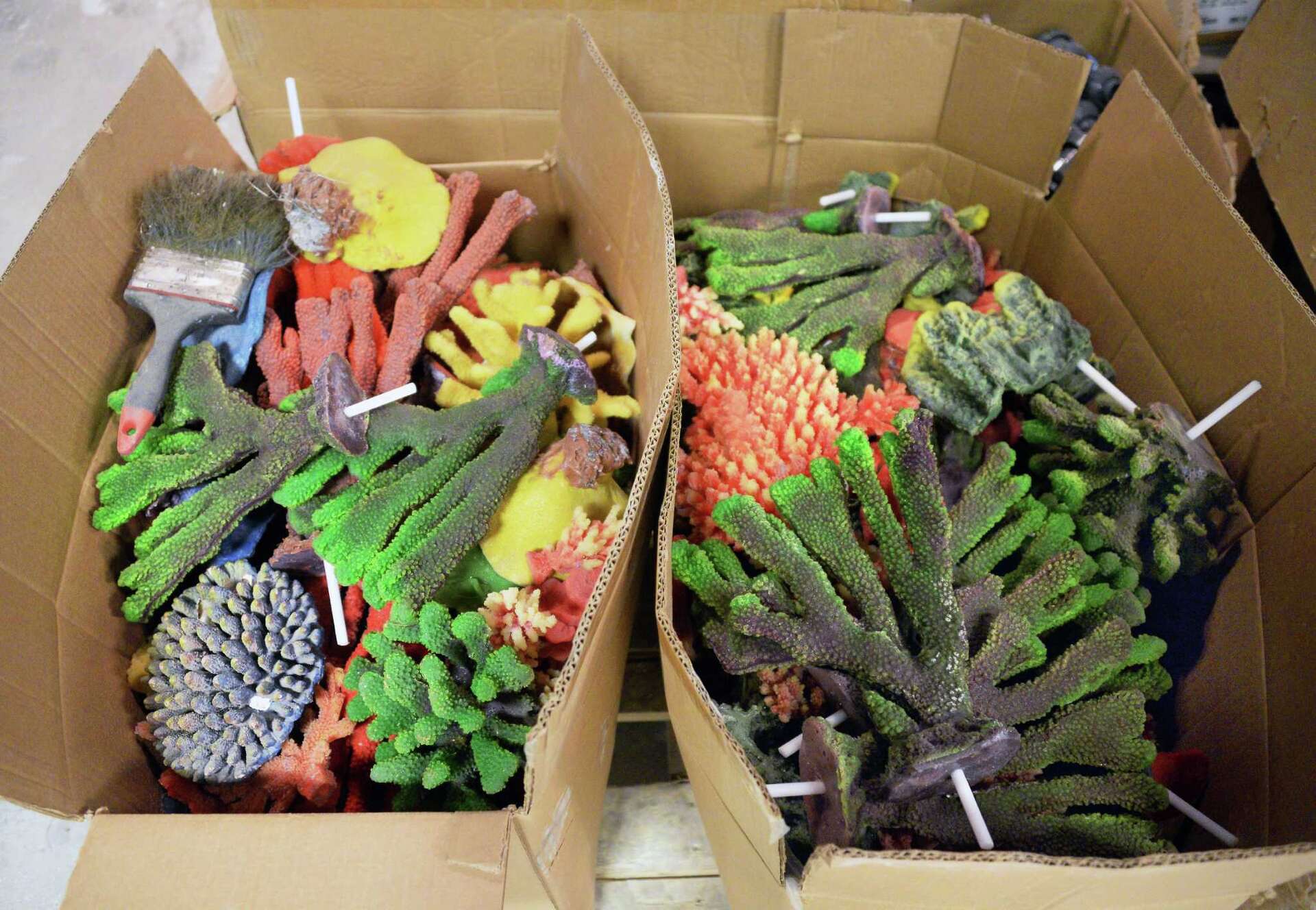 Aquarium in Rotterdam opens Nov. 12