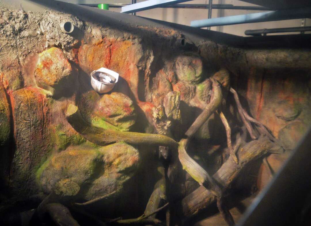 Aquarium in Rotterdam opens Nov. 12