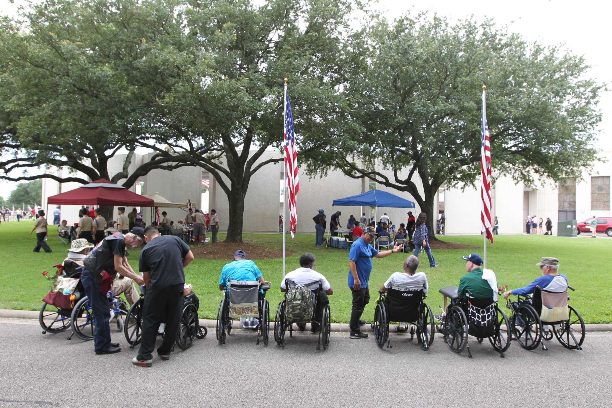 Healing veterans