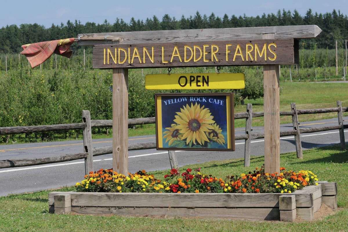 Albany County's Indian Ladder notes 100 years as farm by hosting summer ...