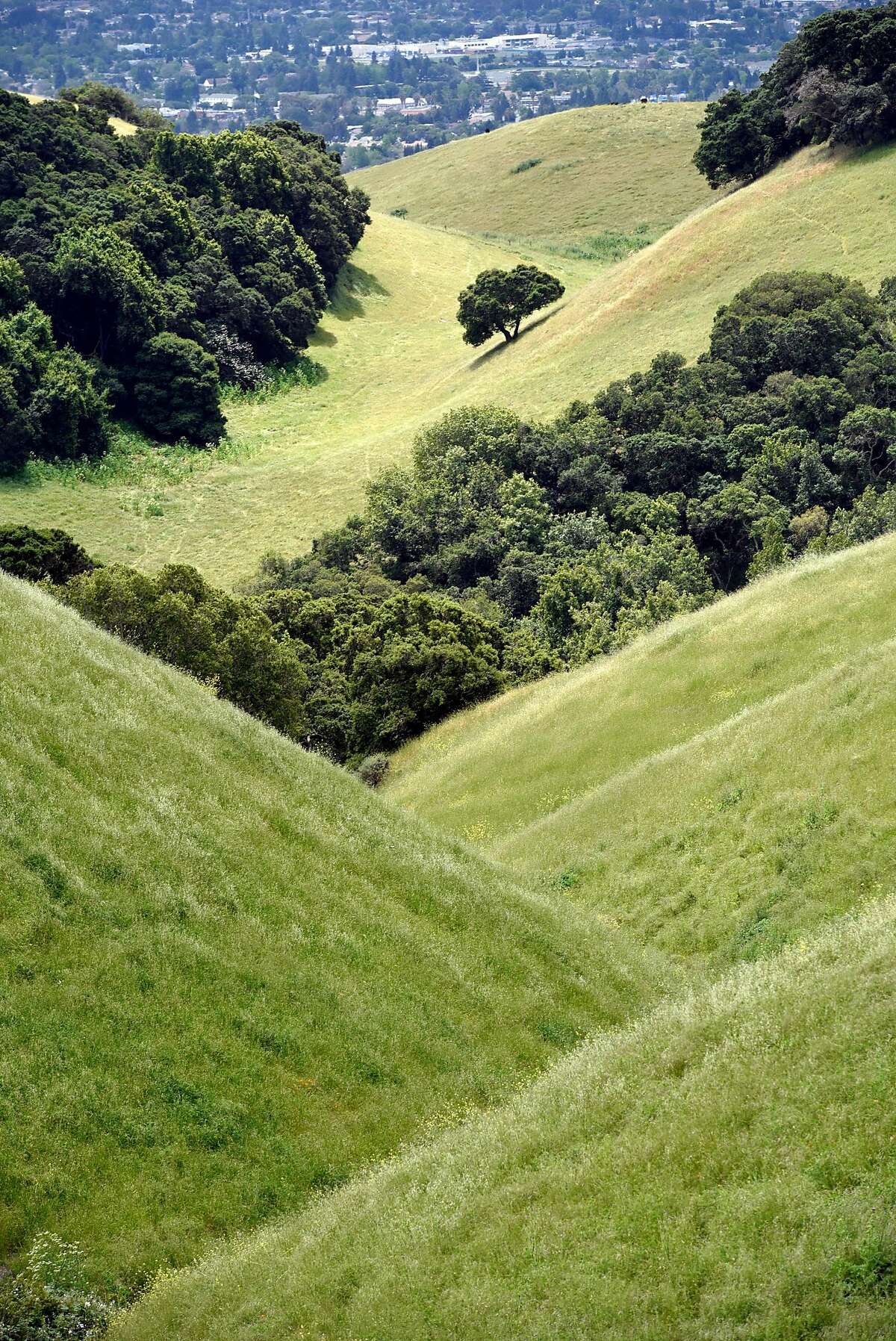 East Bay’s newest park, Vargas Plateau, shuts gates in neighbor dispute