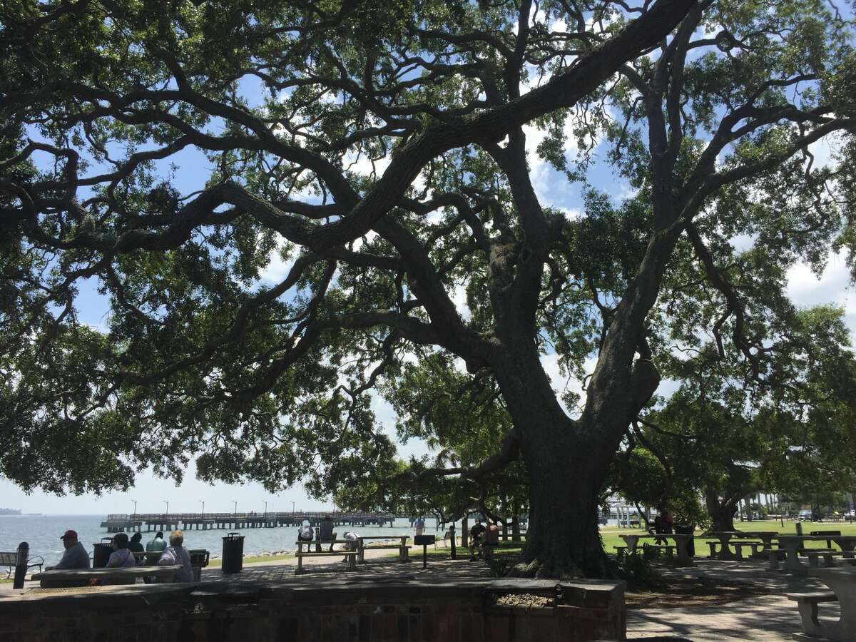 Photos: Ways to keep cool on St. Simons Island