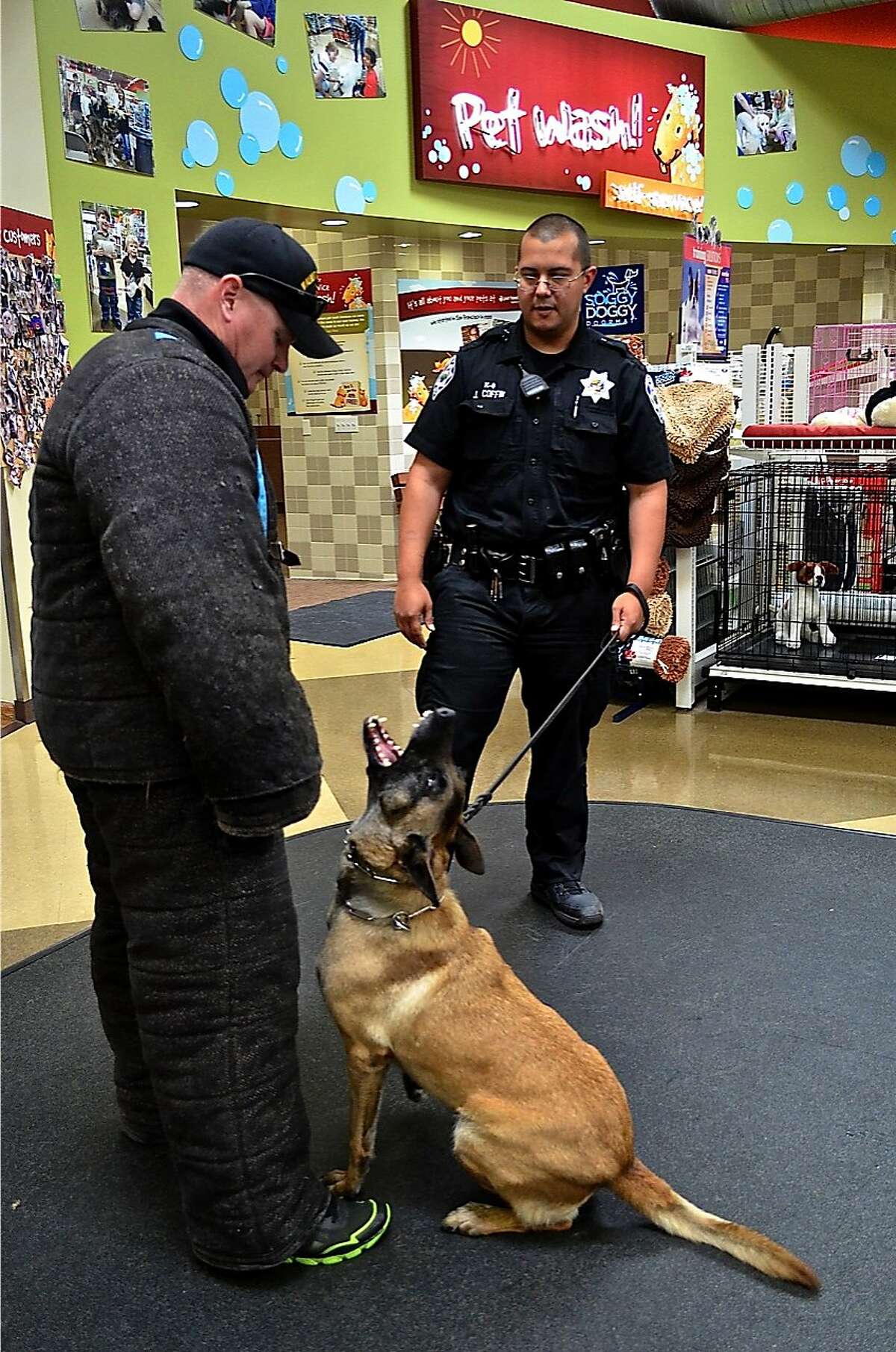 Man held in Walnut Creek rampage that hurt 3 people, police dog