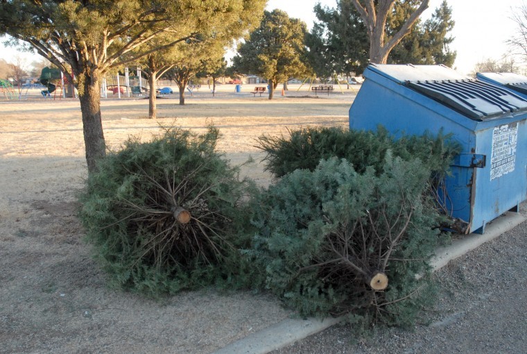 Tree drop-off sites open