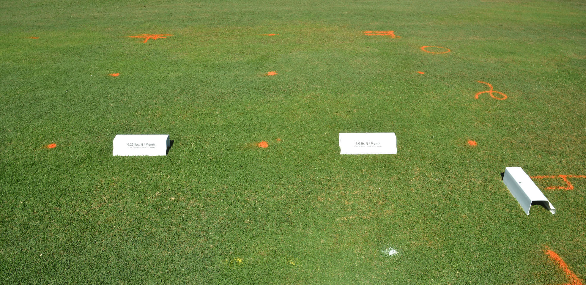 Turfgrass researcher working to keep athletic fields green longer