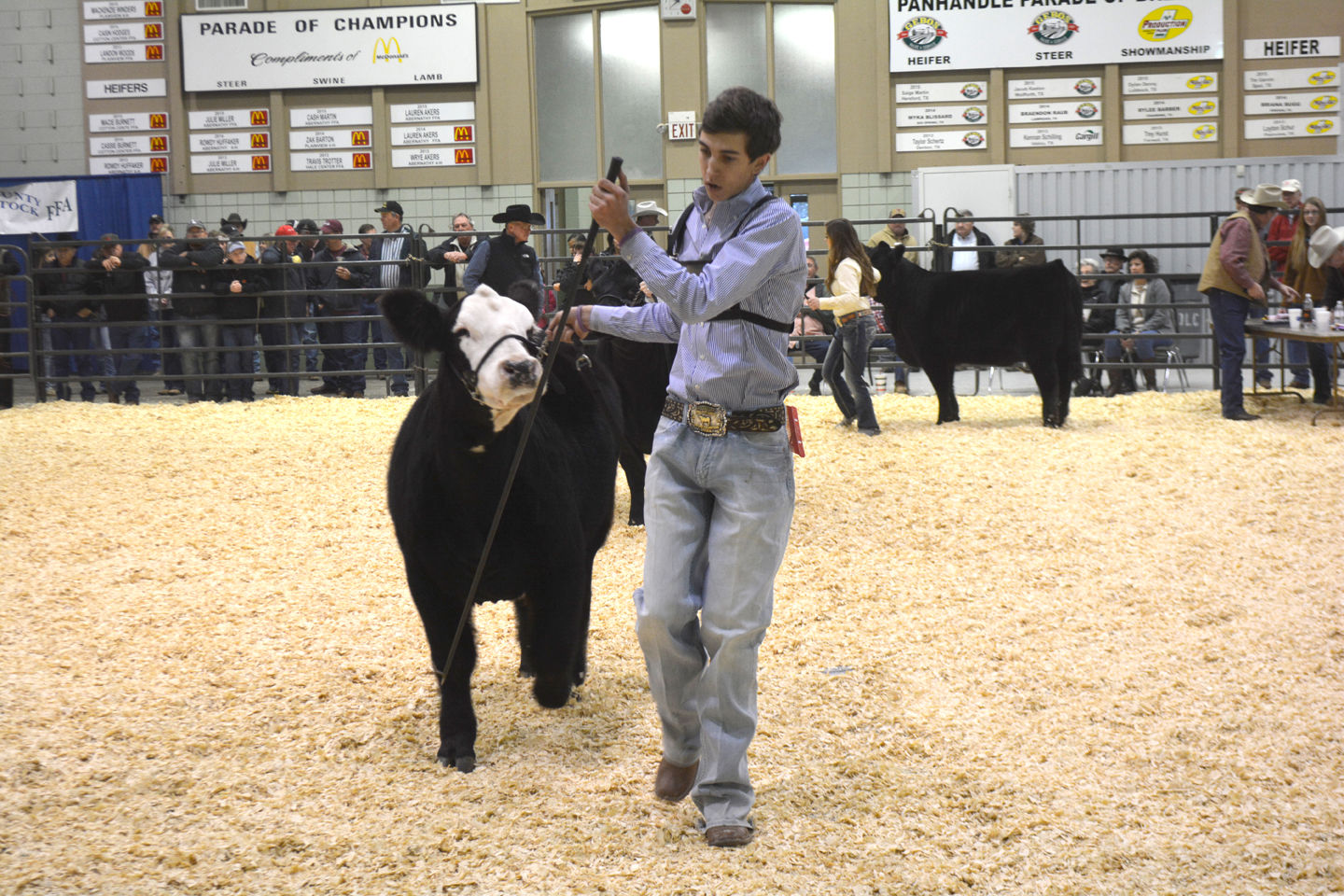 Grand Champion Heifer