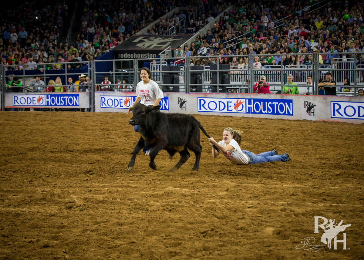 Area FFA students snare calves at scramble