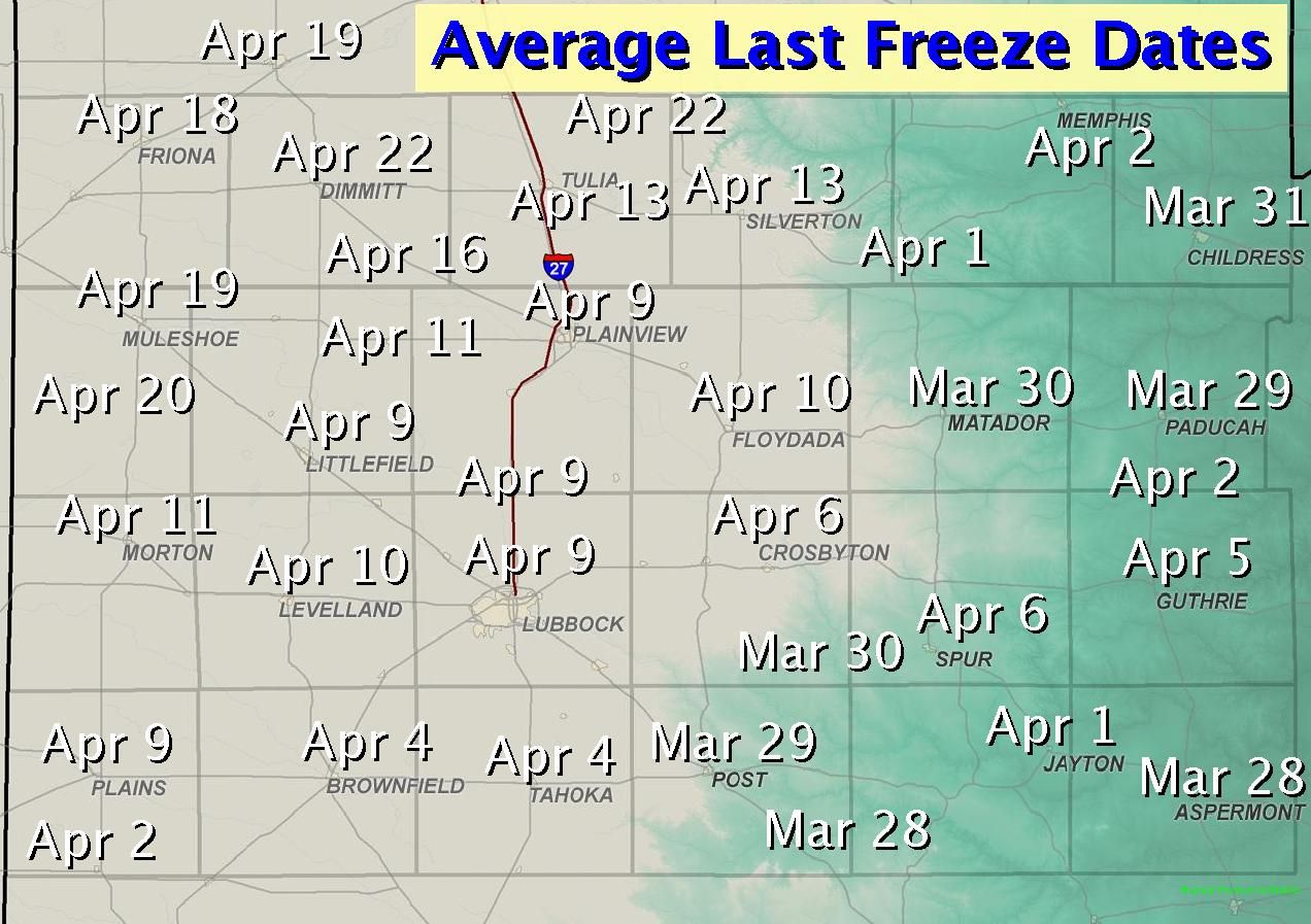 Average final freeze still 1 1/2 week away