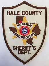 Sheriff appoints chief deputies for patrol, corrections