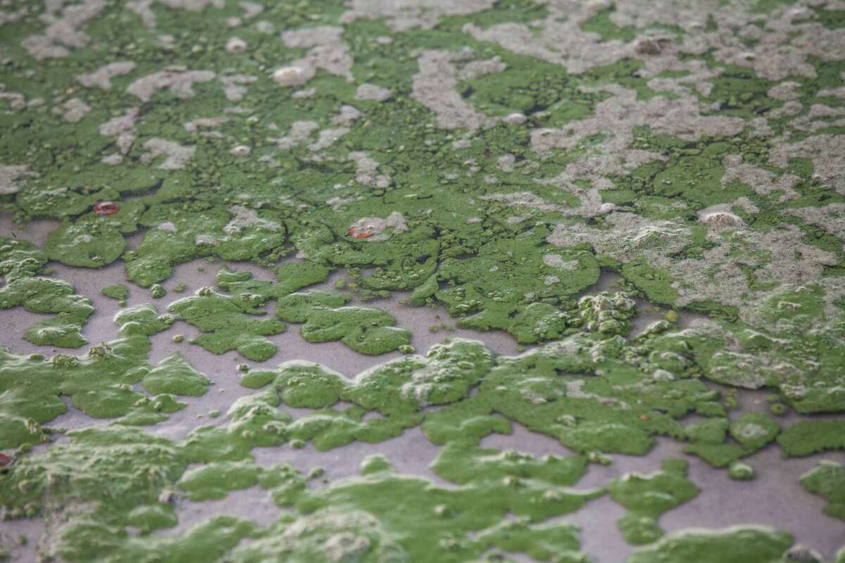 A floating menace off Florida coast