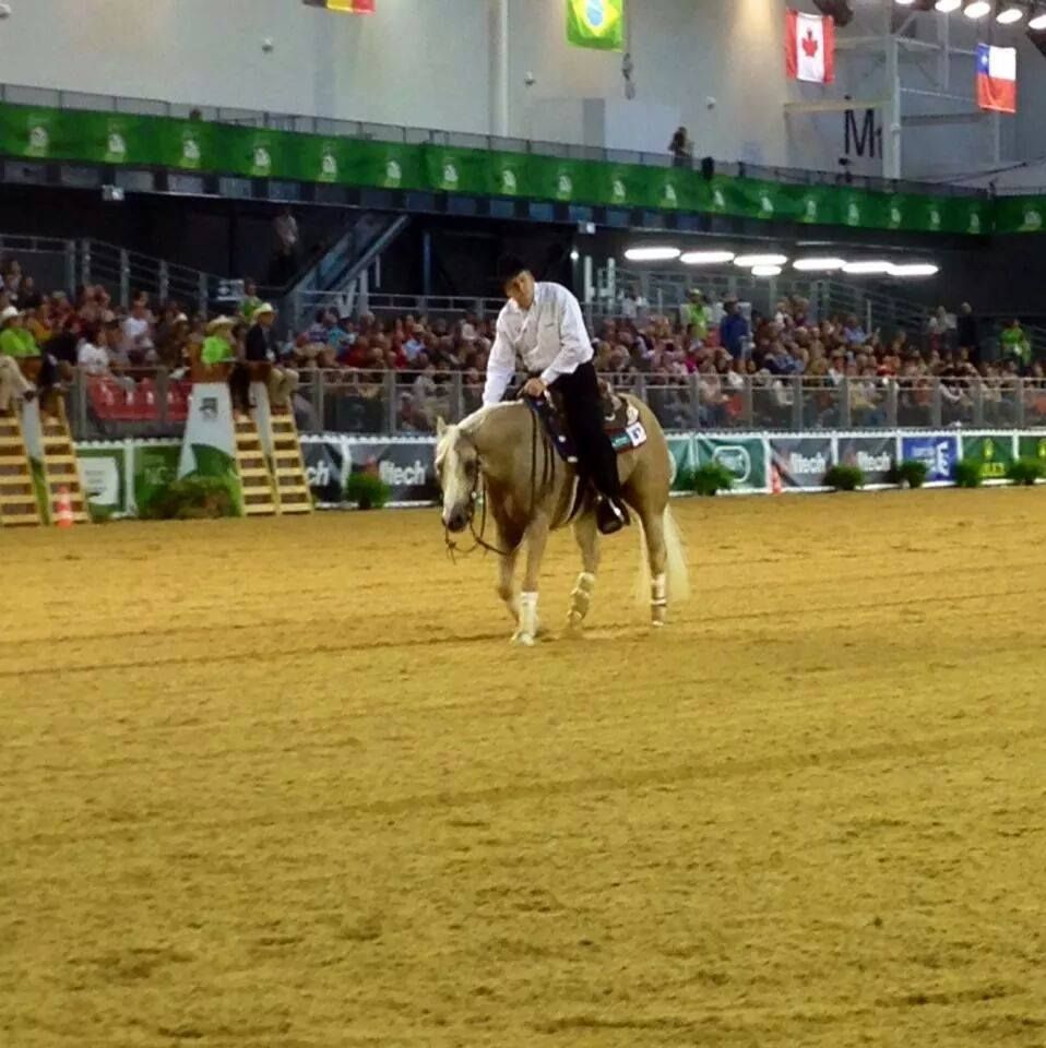Marley horse in world games