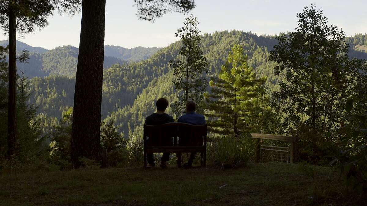 Theater actor Carpenter falls for big-screen ‘Coyotes’