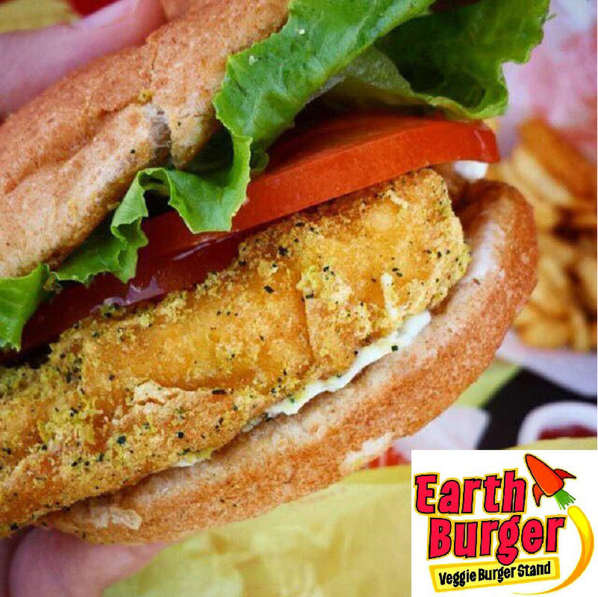 San Antonio-based Earth Burger plans rapid expansion